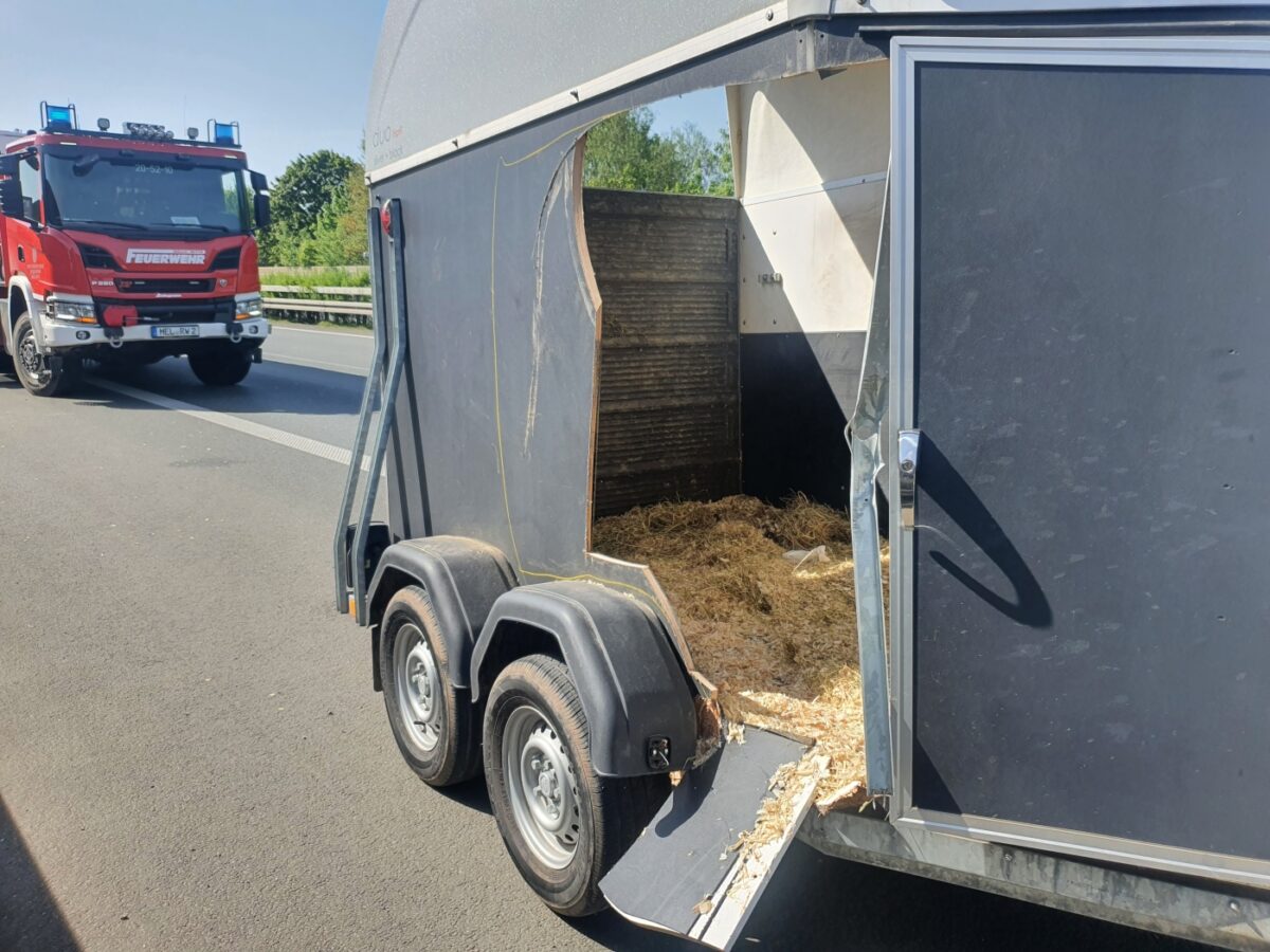 Tierrettung auf A30: Feuerwehr befreit Pferd aus Anhänger ...